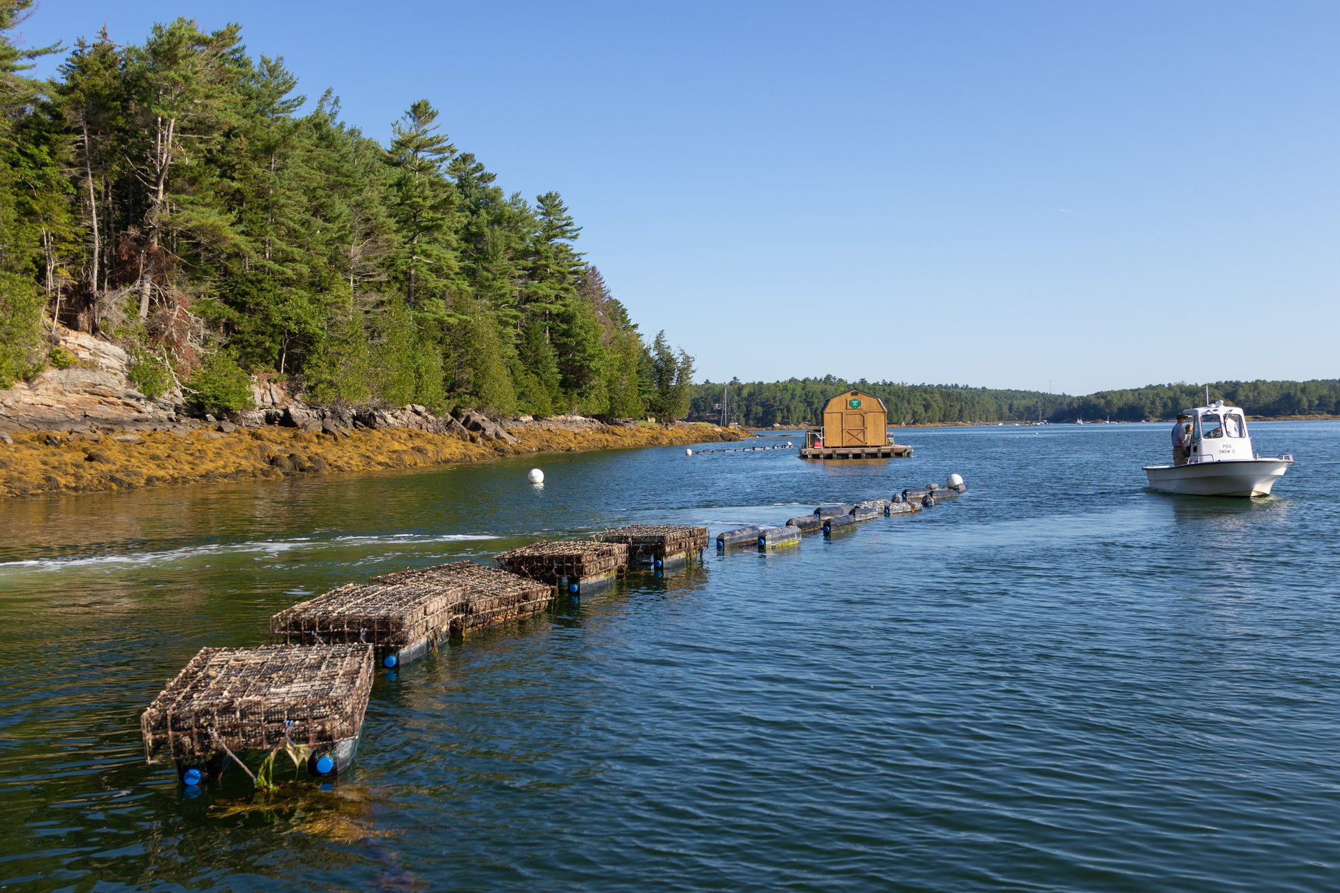 Pingree Celebrates World Oceans Day with Introduction of Bipartisan ...